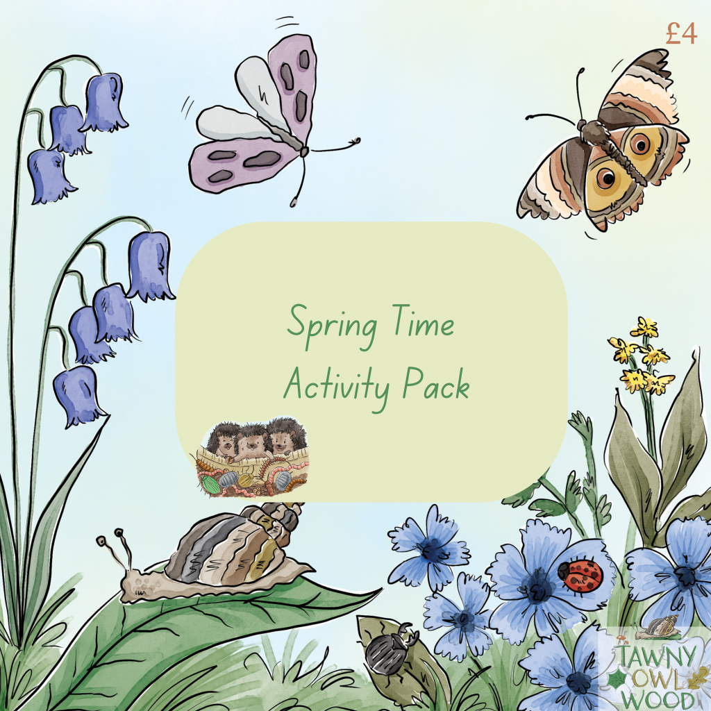 Spring Time Picture Book Activity Pack - Tawny Owl Wood