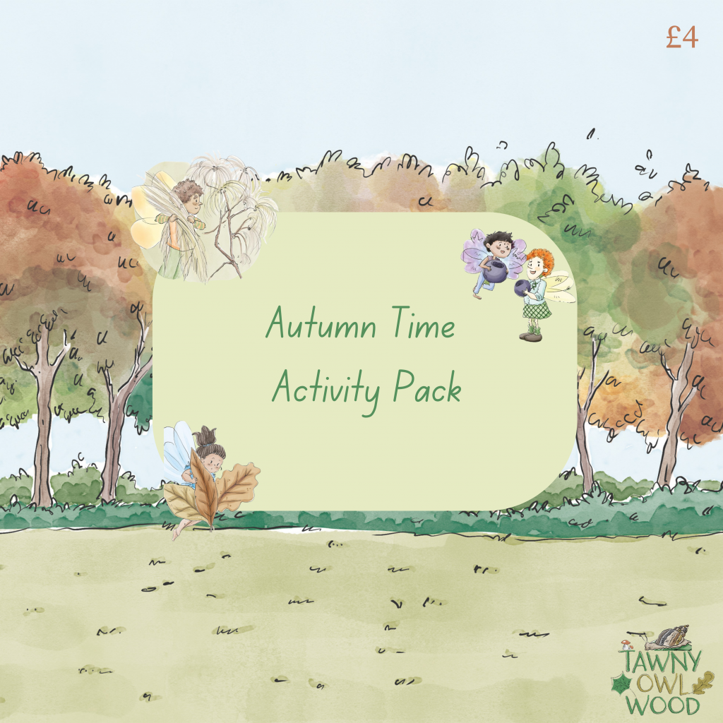Autumn Time Picture Book Activity Pack - Tawny Owl Wood